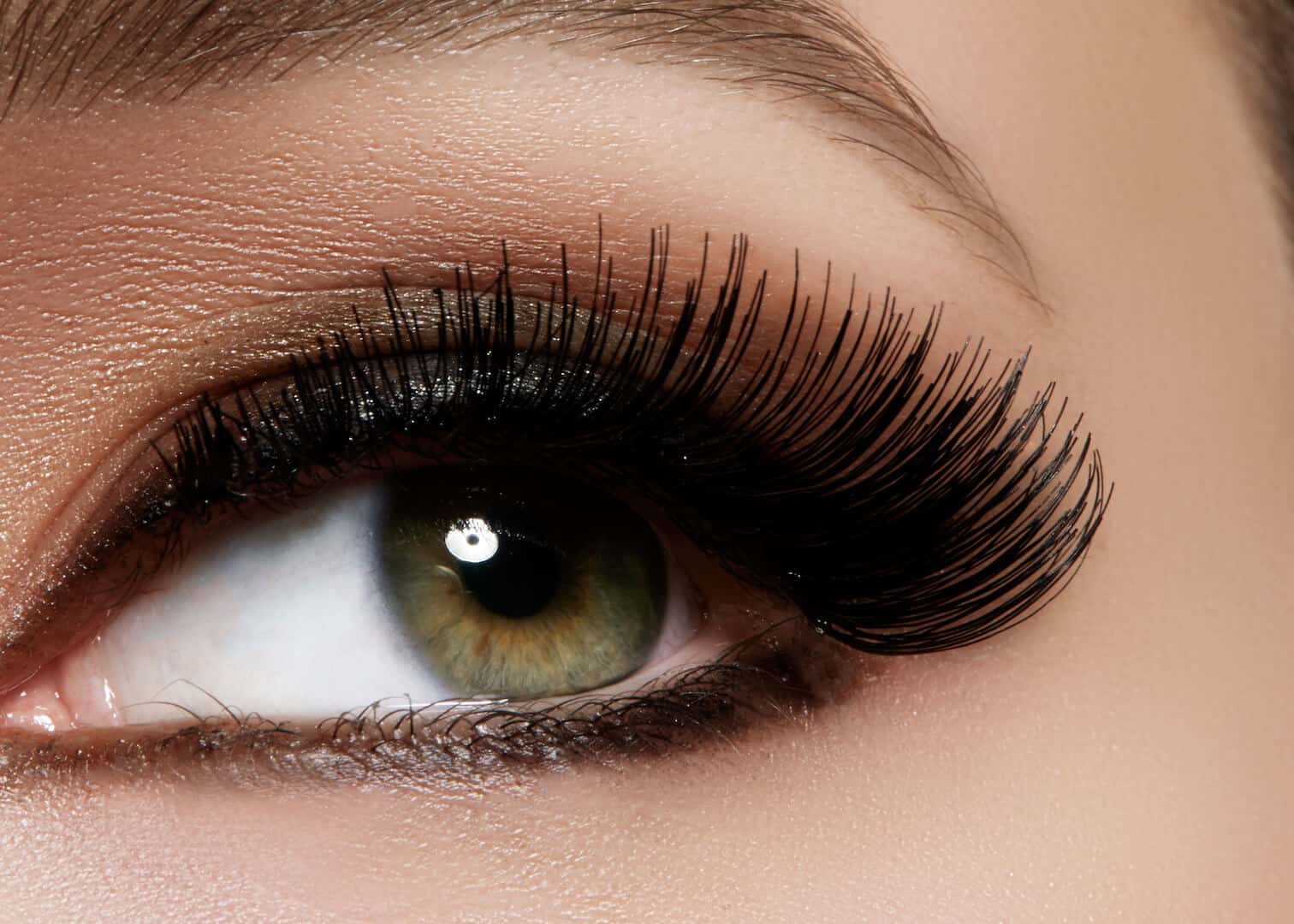 4 Myths About Eyelash Growth How To Make Eyelashes Grow
